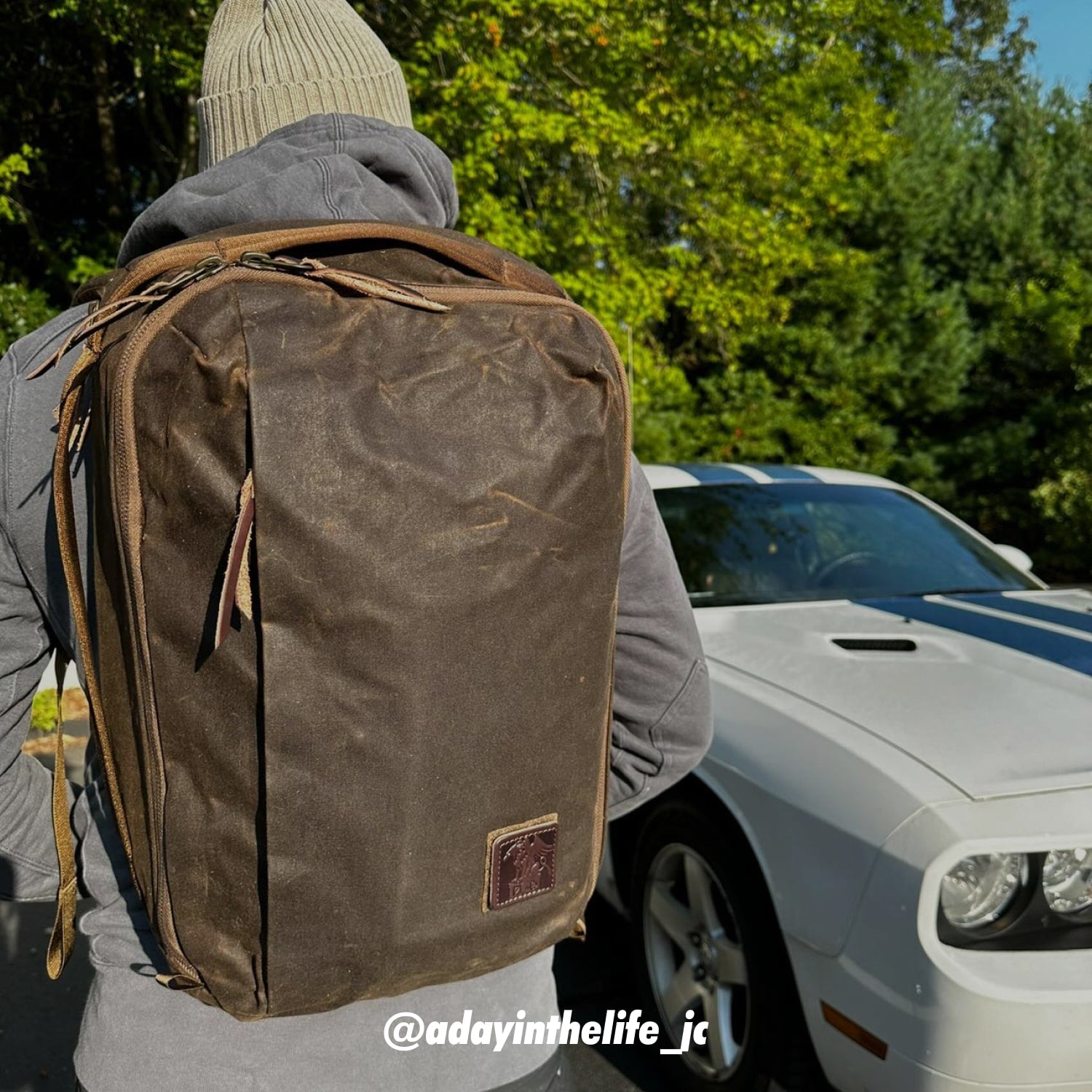 Griffin in the Wild - EVERGOODS Griffin in the Wild - EVERGOODS